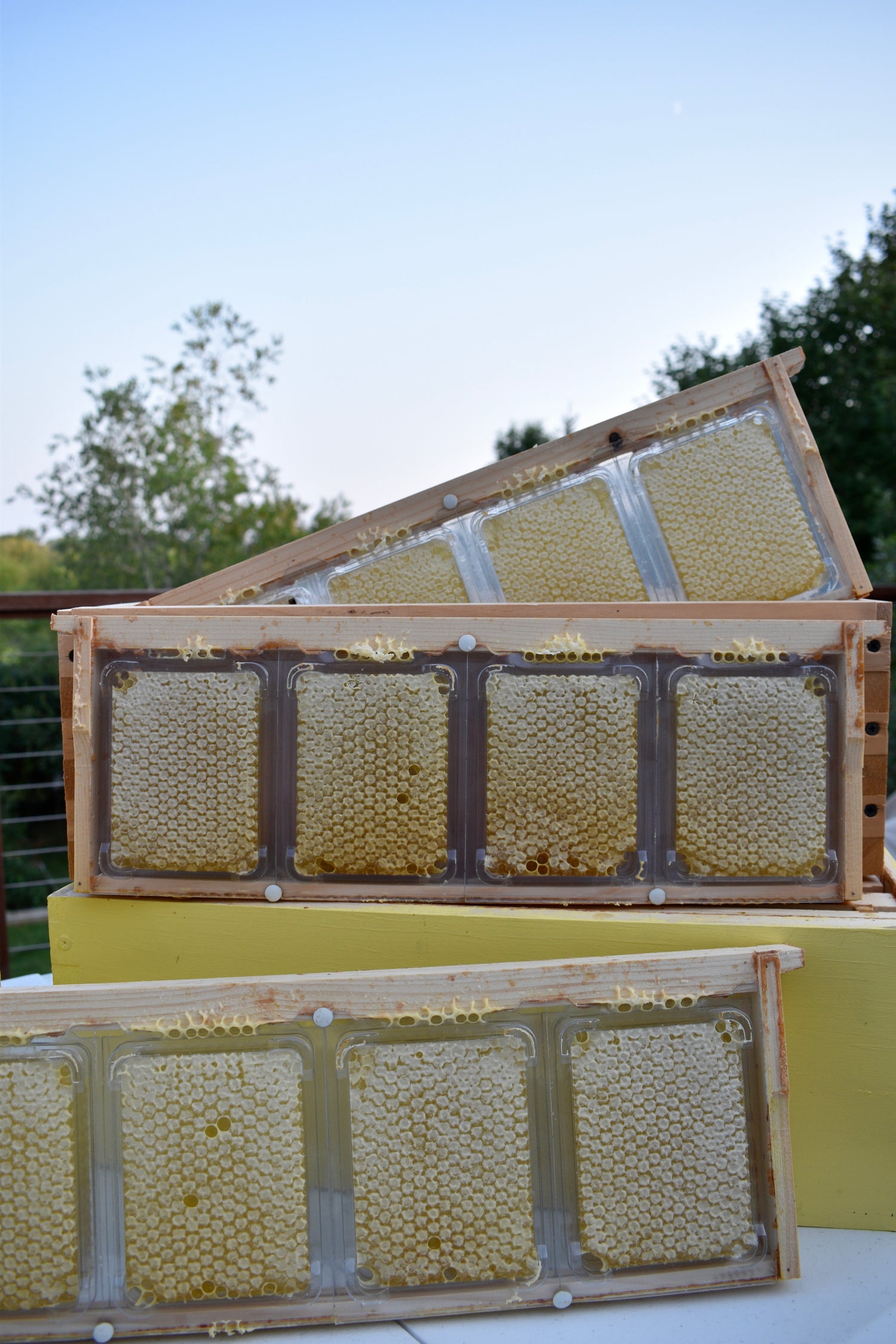 SimplKomb | In-Hive Package, Comb Honey Production Solution