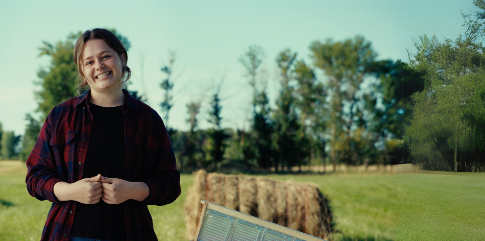 SimplKomb | In-Hive Package, Comb Honey Production & Harvest Solution